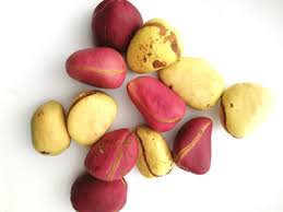 Significance of Breaking the Kola nut – Oke Iroegbu's Musings ...