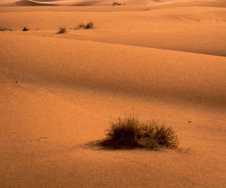 Below—apparently – Oke’s Musings: Poetry, People and Places