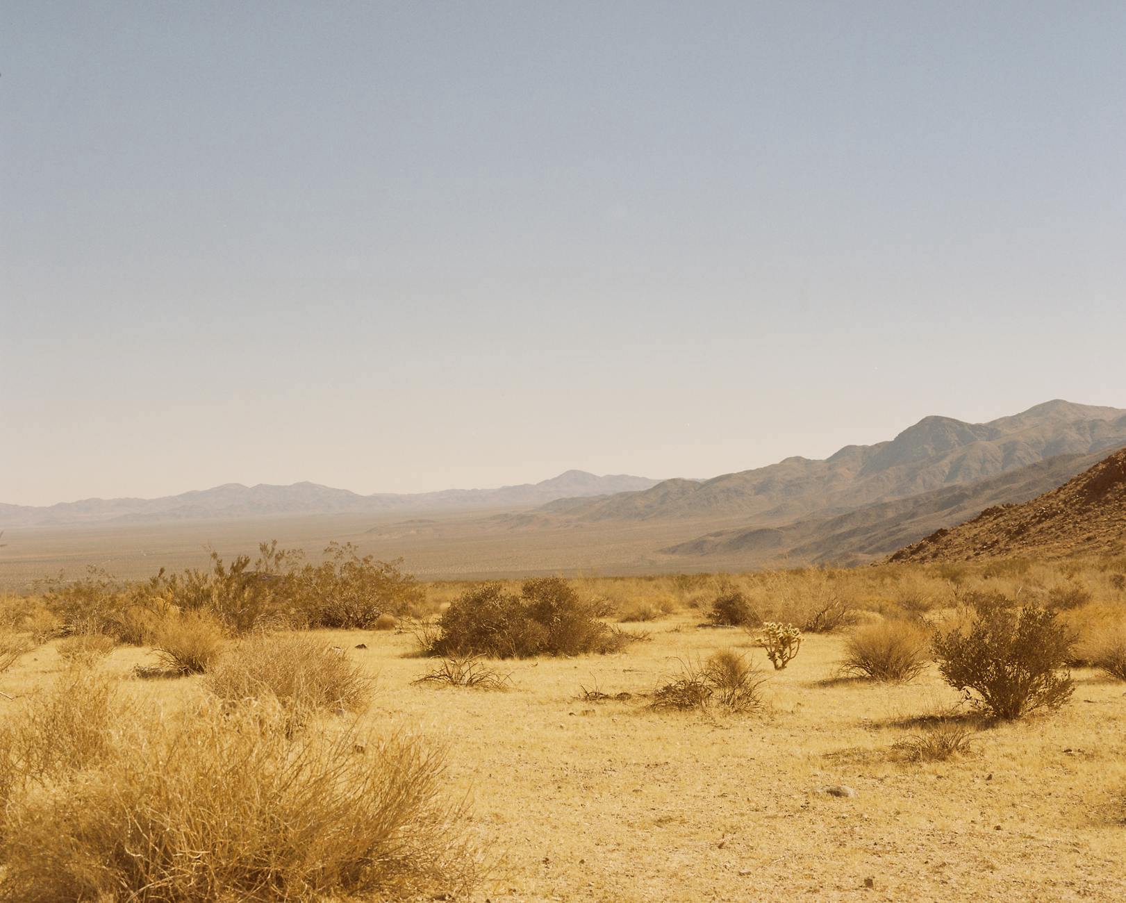How Tumbleweeds Teach: Humor as Pedagogy – Okechukwu’s Musings: Poetry ...